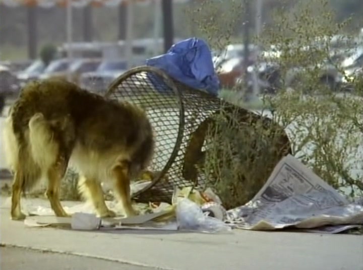 Куда исчезли все люди?: фильм (1974) смотреть онлайн бесплатно на ...