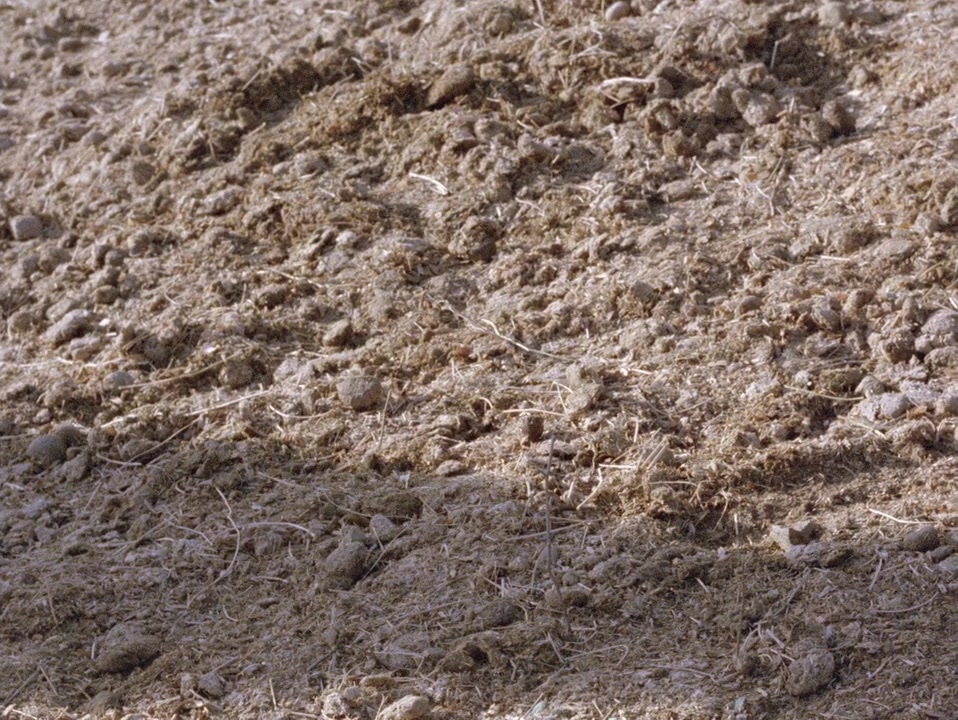 Дьявольский наездник: фильм (1991) смотреть онлайн бесплатно на ZonaFilm.ru